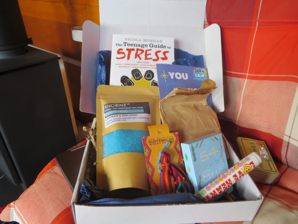 Reviewing Teen Calm's Self-Care awesome Box - The Looneychick Blog